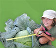 3rd Grade Bonnie Cabbage Contest